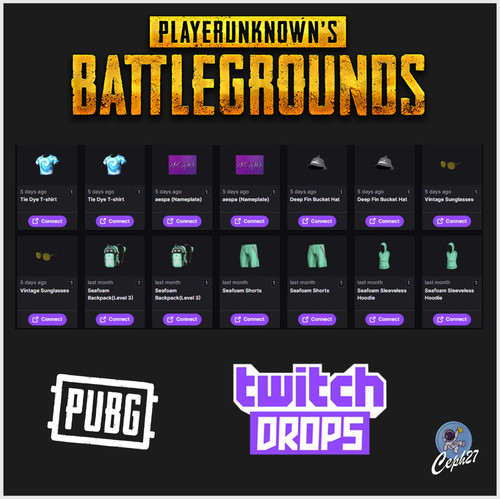 PUBG Twitch Drops - 7 Skins + Nameplate - ALL 8/8 Items | eBay