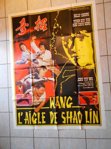EAGLE OF SHAOLIN - Billy Chong- Kung Fu | eBay