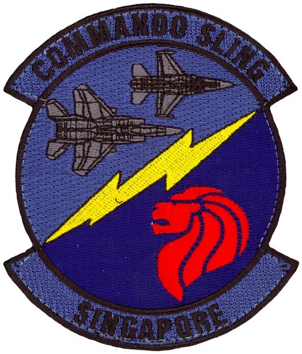 USAF 497th COMBAT TRAINING FLIGHT - COMMANDO SLING - PATCH | eBay