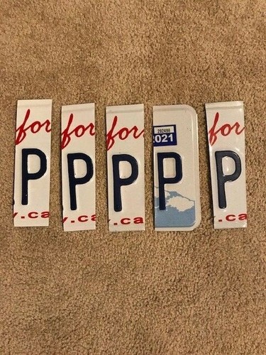 License Plate Letter 'P' - Projects, Signs, and Arts and Craft | eBay