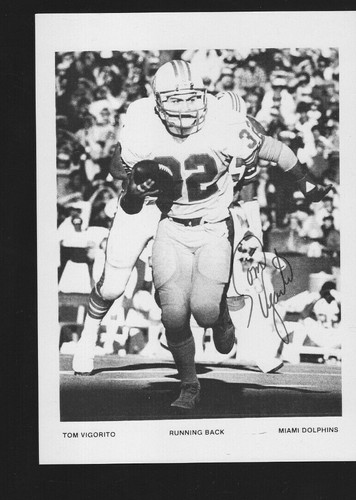 TOM VIGORITO 5X7 VINTAGE TEAM ISSUED PRESS PHOTO COA MIAMI DOLPHINS | eBay
