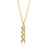 DNA Structure Double Helix Lab Science Geek 24" Chain Necklace Pendant ...