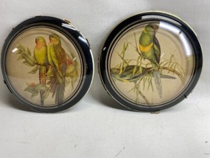 peter watson studio products for sale | eBay