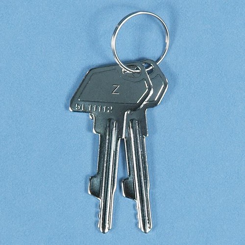 Sam4s/SAMSUNG Cash Register Key (2 keys), your choice | eBay