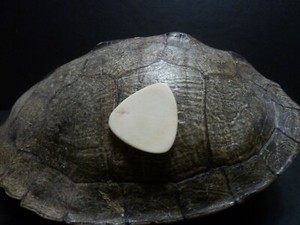 Turtle Guitar for sale | eBay