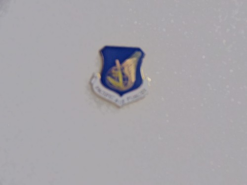 USAF PACIFIC AIR FORCES HAT PIN MEASURES 1 AND 1/8TH (EB) | eBay