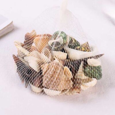 Bag Of Shells for sale | eBay