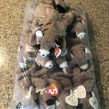 Ringo the Raccoon - Beanie Babies - Beaniepedia