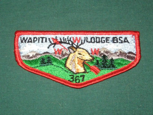 Wapiti 367 s9 flap JOA2 | eBay