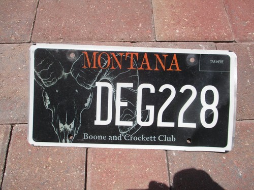 Montana Boone and Crockett Club license plate # DEG 228 | eBay