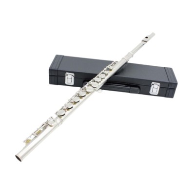 Piccolo Flute in Piccolos for sale | eBay