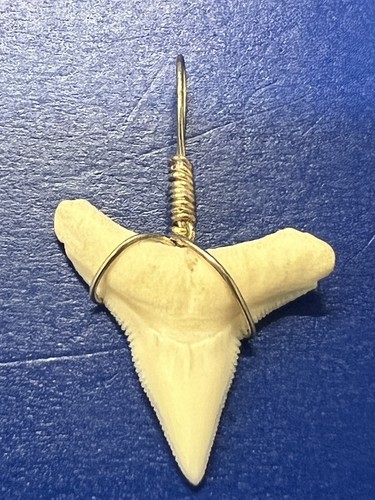 SHARK TOOTH PENDANT 3/4 Inch Upper BULL Shark Tooth | eBay