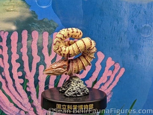 Kaiyodo Dinotales Study Room Nipponites ammonite figure Japan rare | eBay