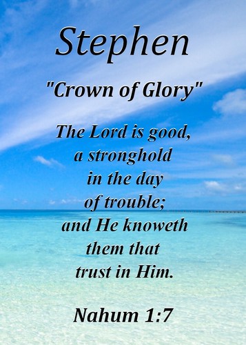 Stephen "Crown of Glory" Keepsake Name Meaning Card with Bible Verse | eBay