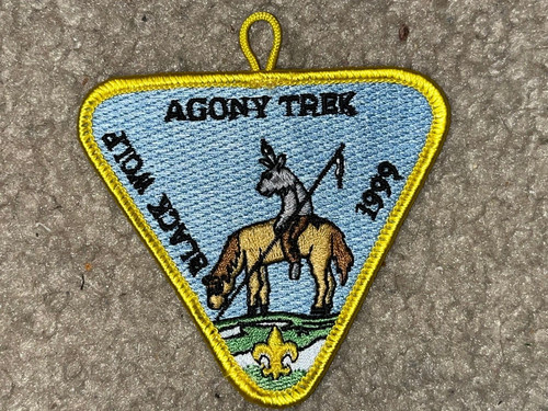 Boy Scout 99 Agony Dan Beard Council Camp Friedlander Ohio Historic ...