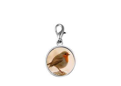 Robin Charm in Fine Charms & Charm Bracelets for sale | eBay