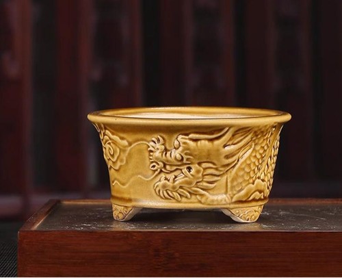 Japanese Bonsai Pot Three-Legged Dragon , Succulent Iris Bonsai, Flower ...