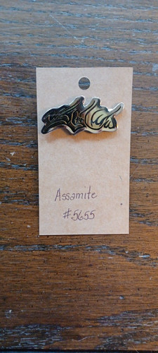 White Wolf: Vampire Clan Pin - ASSAMITE CLAN brand new from store b | eBay