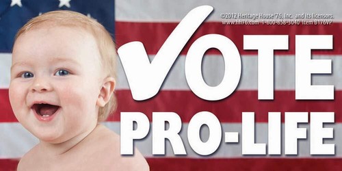 Vote Pro-Life Pro-Life Vinyl Sign | eBay
