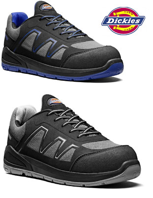dickies trainers products for sale | eBay UK