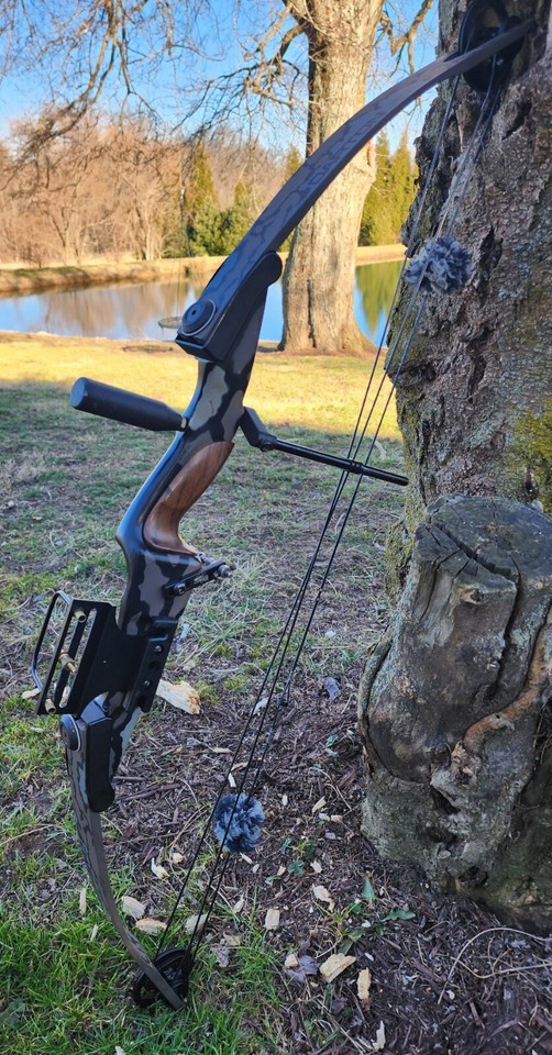 Darton Archery Compound Bows for sale | eBay