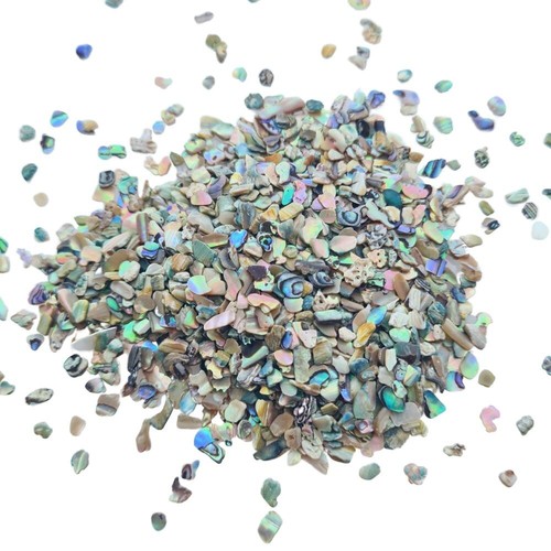 900pcs Tiny Abalone NZ Paua Shell Pieces 20g Tiny Resin Art Shell Craft ...