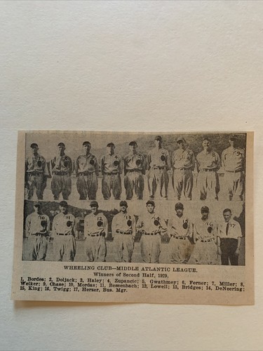 Wheeling Stogies Tommy Bridges Gee Walker R. Haley 1929 Baseball Team ...