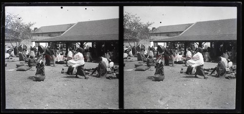 Africa Senegal? Colonialism France Photo Negative c1910 Plate Stereo ...