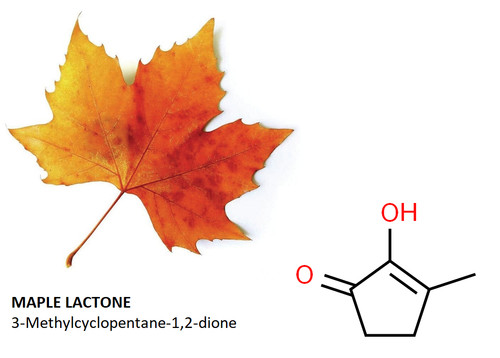 Maple Lactone (Cyclotene) Synthetic Aroma/Fragrance Compound 500g | eBay