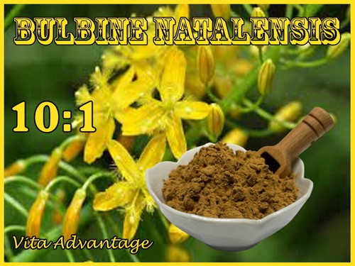 100% Pure Bulbine Natalensis 10:1 Extract Powder 50g. Bodybuilding ...