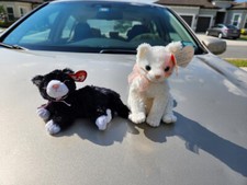 Booties the Cat - Beanie Babies - Beaniepedia