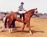 NEW! SECRETARIAT RON TURCOTTE & EDDIE SWEAT -OFF TO KENTUCKY ORIGINAL ...