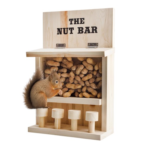 Nut Bar Squirrel Feeder, Funny Bar Stool Outdoor Squirrel Feeder | eBay