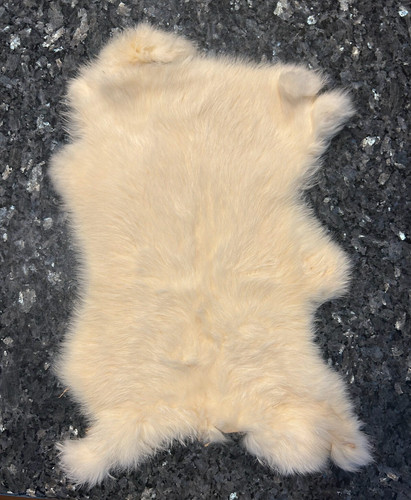 5 Pieces White Natural Tanned Real Rabbit Pelts Soft Skin Fur Leather ...
