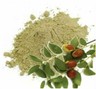 Jujube Fruit Fructus Ziziphus Jujuba Date Extract Powder 4:1 - Spice ...