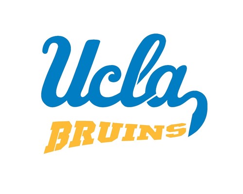 UCLA Bruins stencil logo - 10 mil mylar reusable pattern | eBay