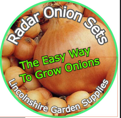 Onion Sets for sale | eBay