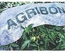 Agribon AG-19 Plant Cover - Protect from Frost/Insects/Sun - 83"x 100 ...