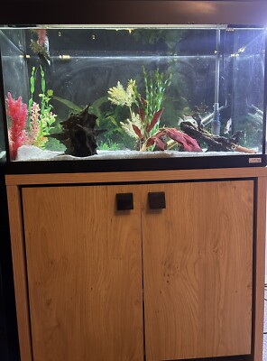 Fluval Roma 125 for sale | eBay