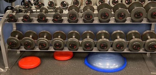 GPI Cast Iron Dumbbell set with Rack, 5lb-50lbs | eBay