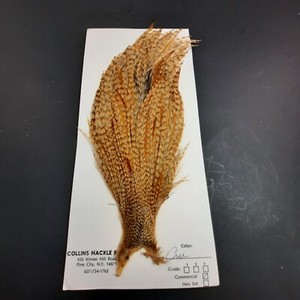 skilto | eBay Stores