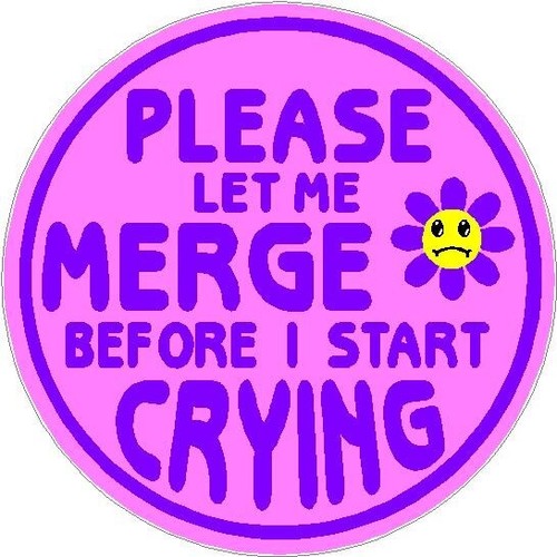 Please Let Me Merge Before I Start Crying Bumper Sticker Waterproof ...
