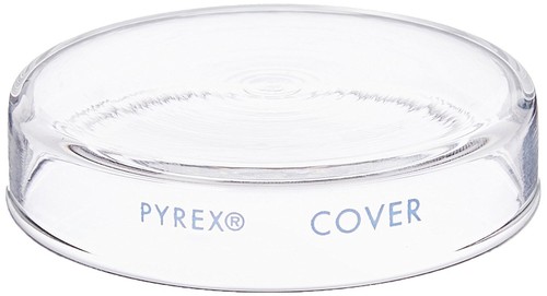 Pyrex 3160-102 Brand 3160 petri dish; 100 x 20 mm, pack of 12 | eBay