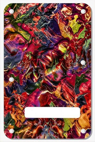 Stratocaster Tremolo Cover Backplate Graphical fit Fender Guitar ...