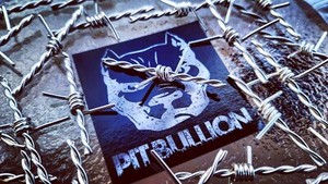 Pit Bullion | eBay Stores