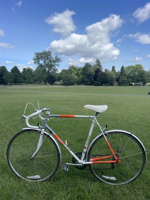 Vintage Raleigh Bicycle for sale | eBay UK