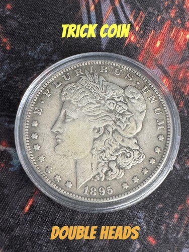 Morgan Dollar Two Heads Coin with Capsule | eBay
