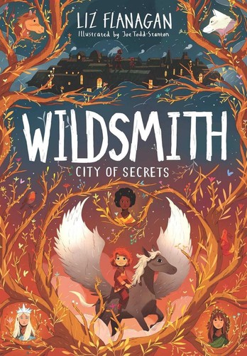 Wildsmith 2: City of Secrets by Liz Flanagan Hardcover Book | eBay