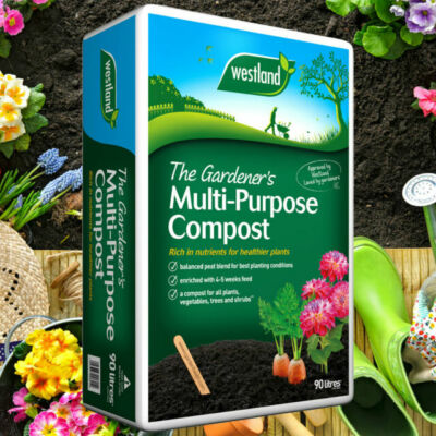 Multi Purpose Compost for sale | eBay