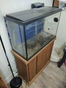 Rectangle (Standard) Aquariums & Tanks 30 gal. Tank Capacity for sale ...